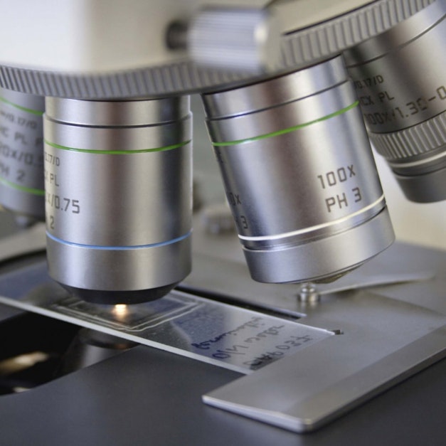 The 4 Lenses of Innovation - Rowan Gibson