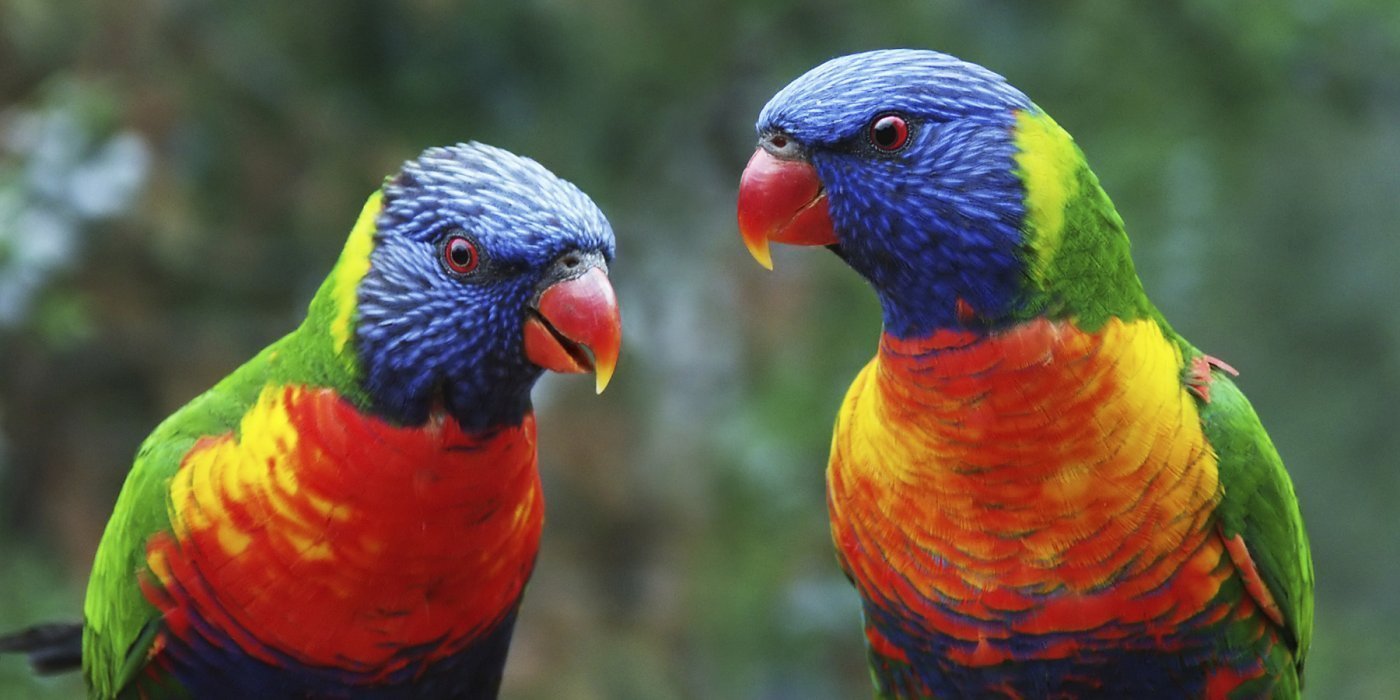 The Art of Concise Conversations - Stick to the Point – Humanely