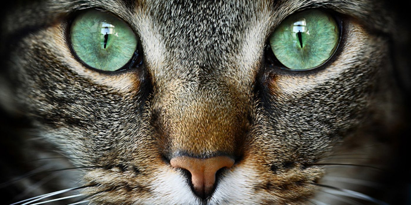 The CATWOE Checklist