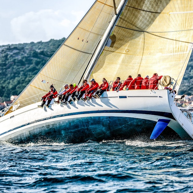 The CEDAR™ Feedback Model - Feeding Back, Collaboratively