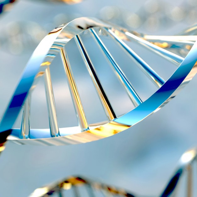 The Digital Helix - Michael Gale