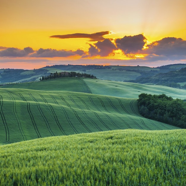 The Disney Creative Strategy - Fusing Imagination and Planning