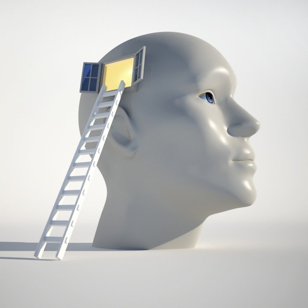 The Four Intelligences of the Business Mind: How to Rewire Your Brain ...