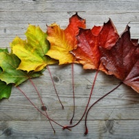 What Are the Four Principles of Change Management?