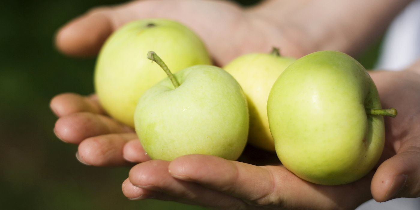 The Influence Model - Using Reciprocity to Gain Influence