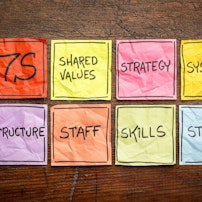 Handy's Four Types of Culture - Choosing the Best Culture for Your ...