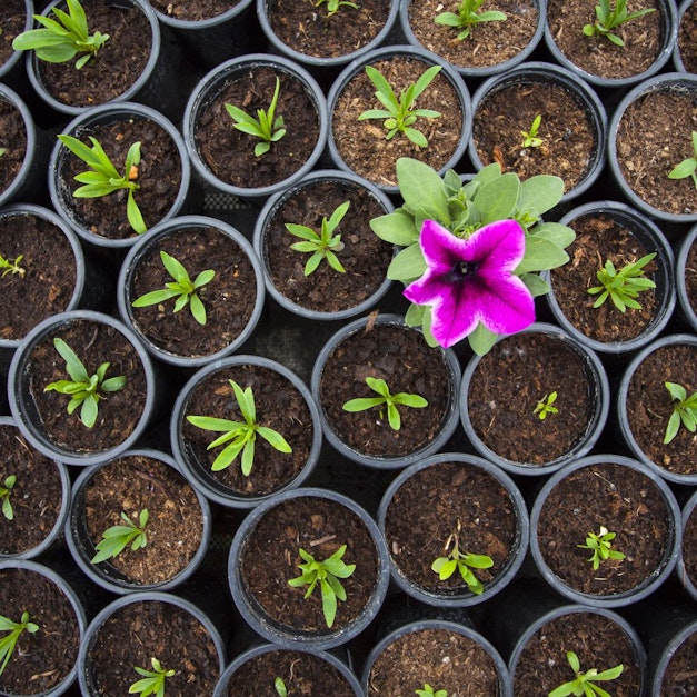 The Nine-Box Grid for Talent Management - Assessing Team Member ...