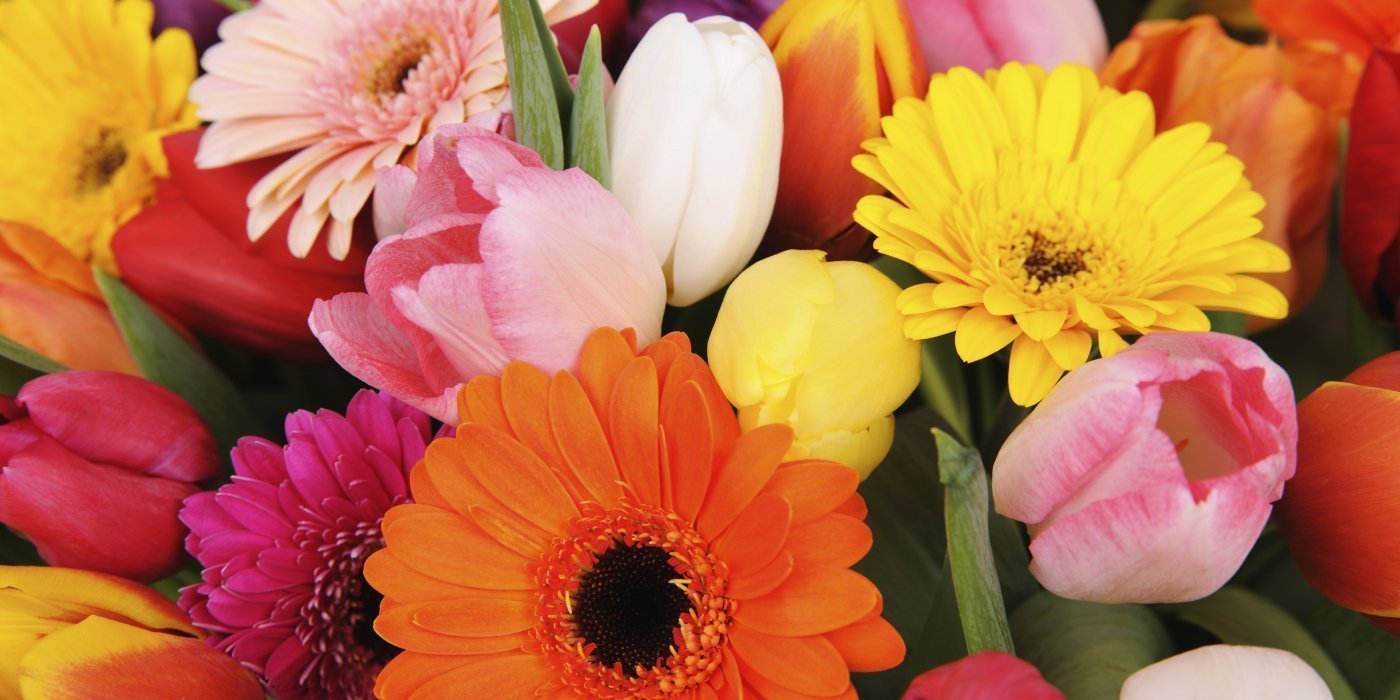 The Persuasion Tools Model - Finding the Right Negotiation Style