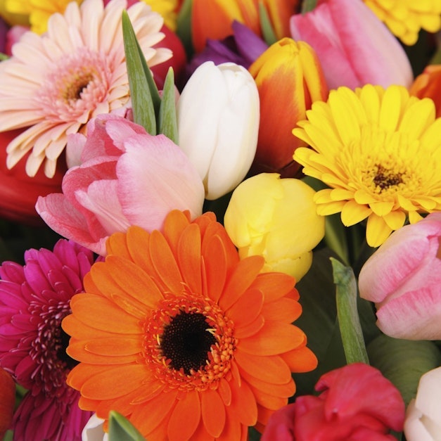 The Persuasion Tools Model - Finding the Right Negotiation Style