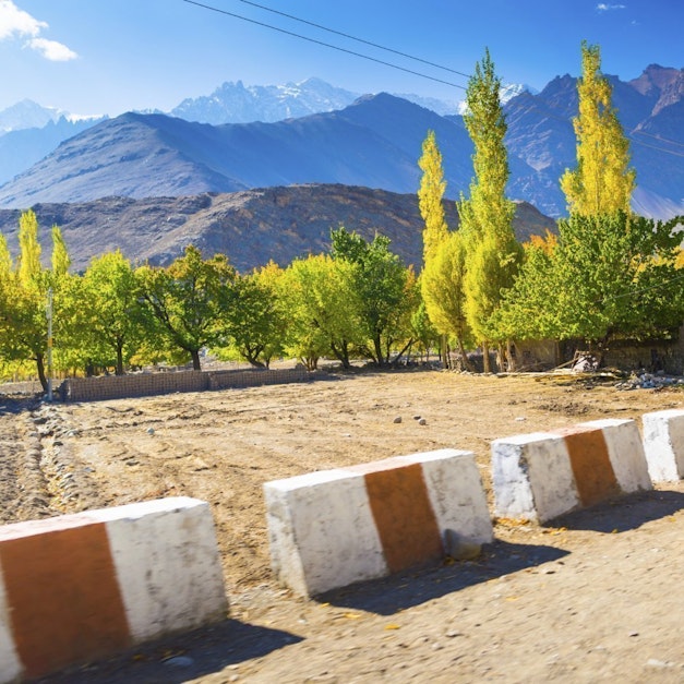 The Power of Positive Deviance - Richard Pascale