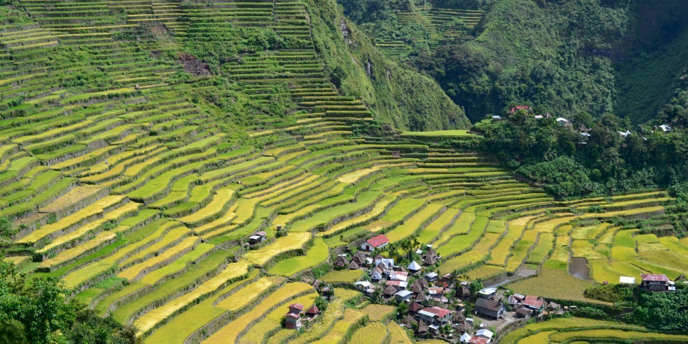 The Problem-Definition Process - Developing the Right Solution