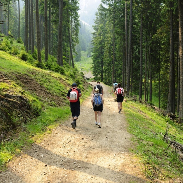 The Progress Principle - Teresa Amabile