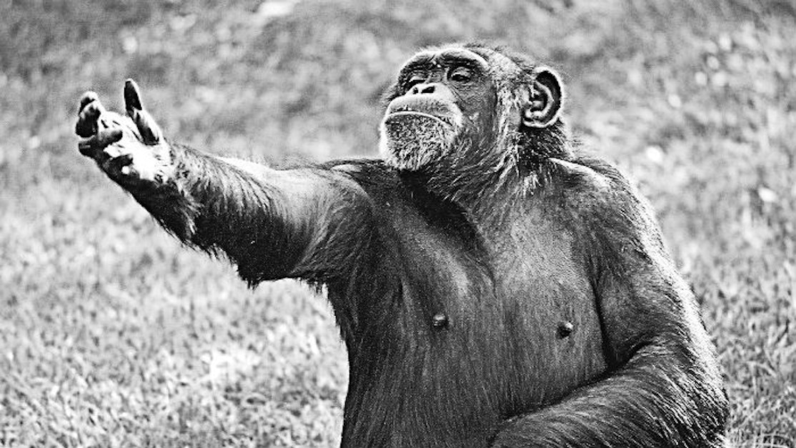 Top Tips for Praising Others