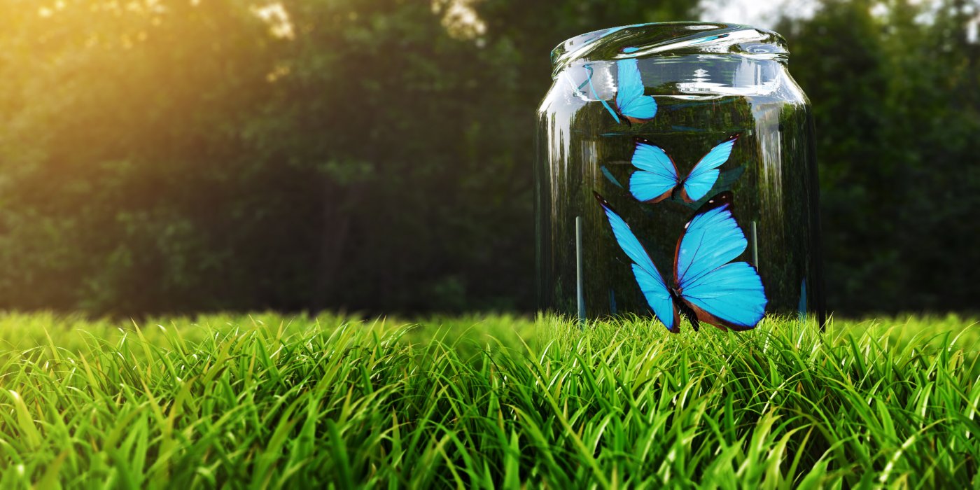 What Is Psychological Capital? - Becoming a Workplace HERO