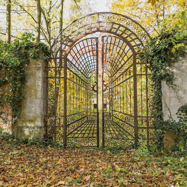 What Is Stage-Gate® Innovation? - Making Sure Only Your Best Ideas Make ...