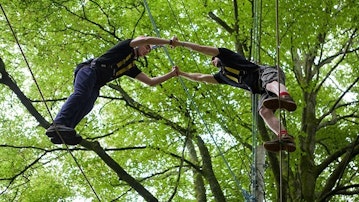 Practically Perfect Partnerships Infographic - Infographic Transcript