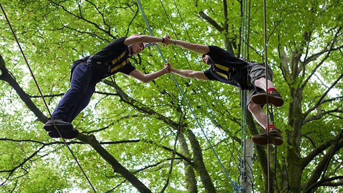 What Makes a Partnership Work?