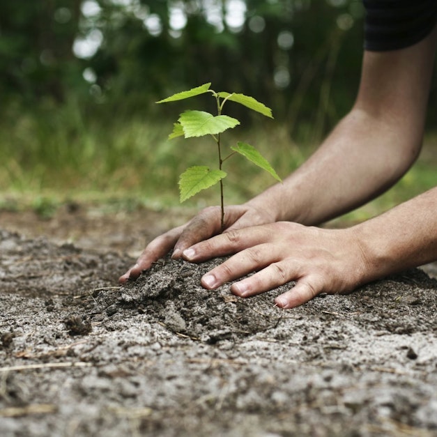 Why Being a Generous Leader Can Make You a Great Leader - Show People ...