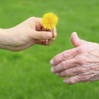 Baker's 4 Strategies of Influence - Using Logic and Emotion to Change ...